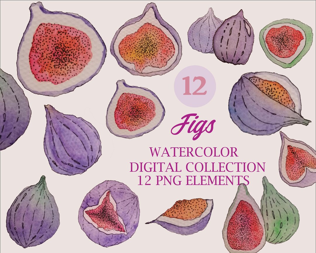 Figs Watercolor Clipart, Fruits Watercolor Clipart, Fig Watercolor ...