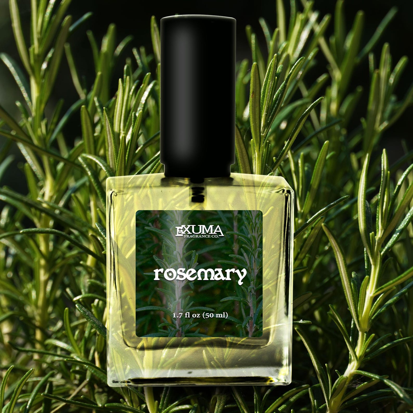 Rosemary Perfume Oil or Spray: Fresh Rosemary and Cedarwood Fragrance ...