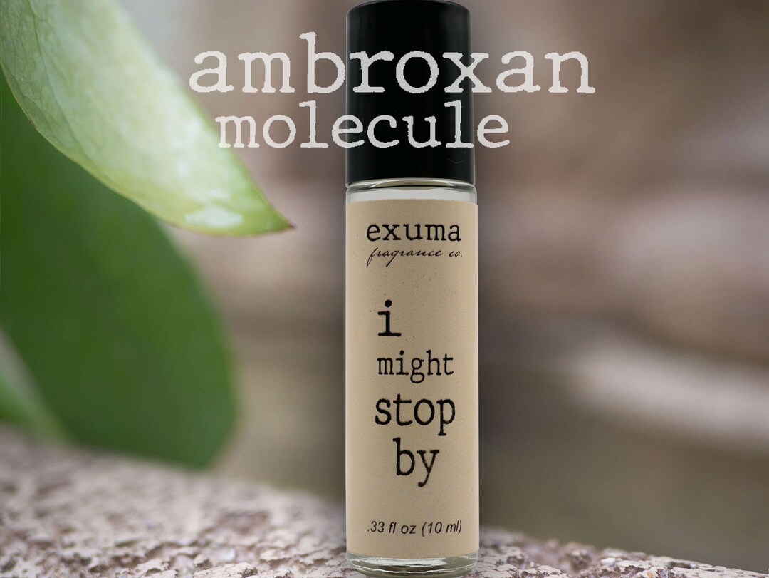 I Might Stop by Perfume Oil Roll-on and Parfum Spray Aquatic Amber ...