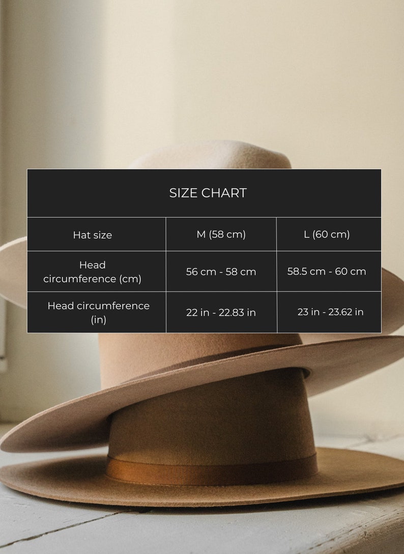 Brown Wide Stiff Brim Wool Felt Fedora Hat for Women the Lefroy - Etsy