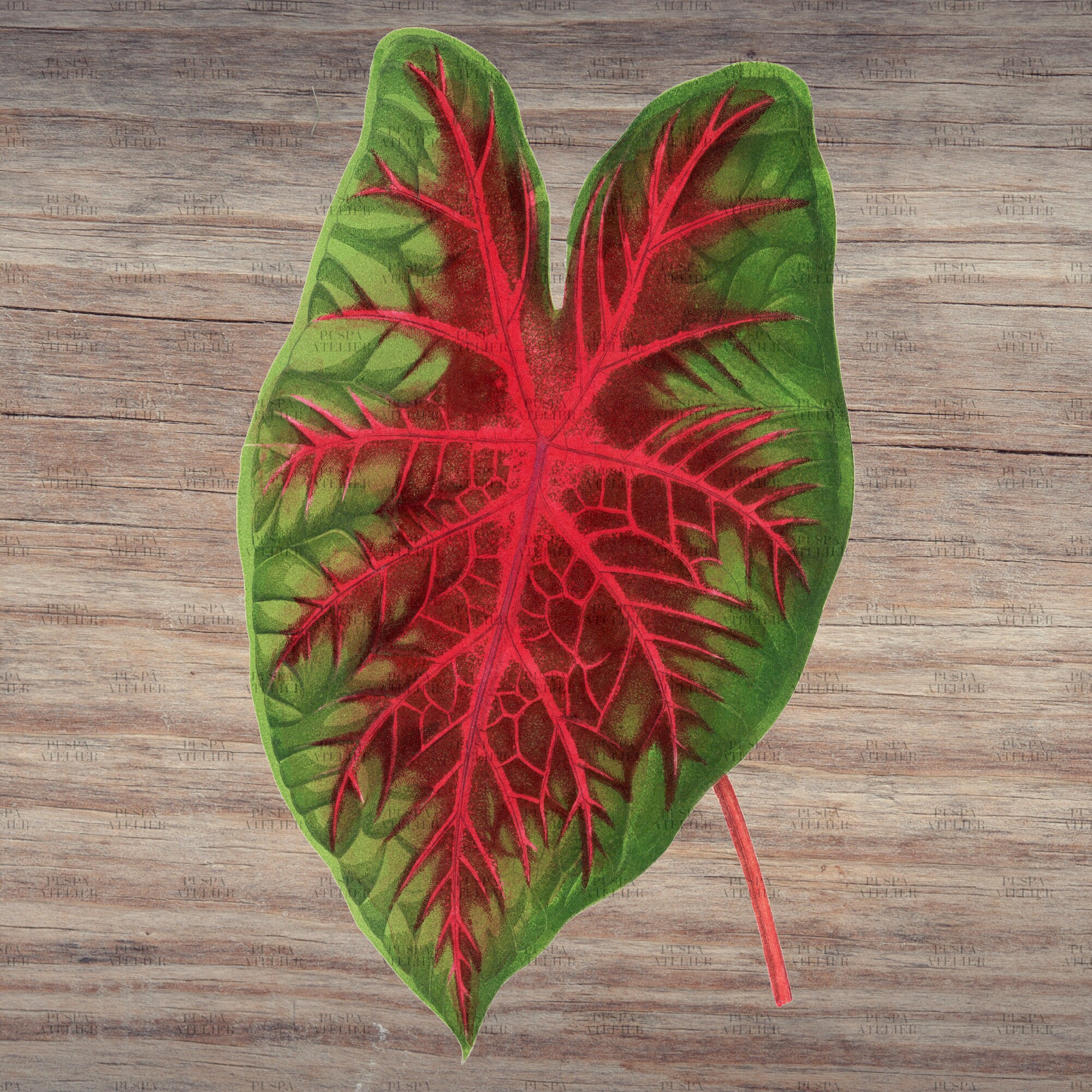 Heart of Jesus Plant Clipart PNG SVG JPEG Vintage Botanical Watercolor ...