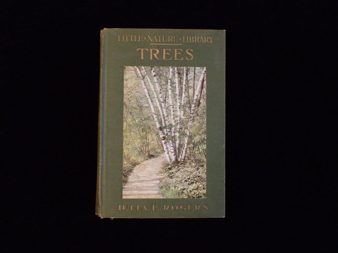 Little Nature Library Trees Book by Julia E. Rogers. From 1925. - Etsy