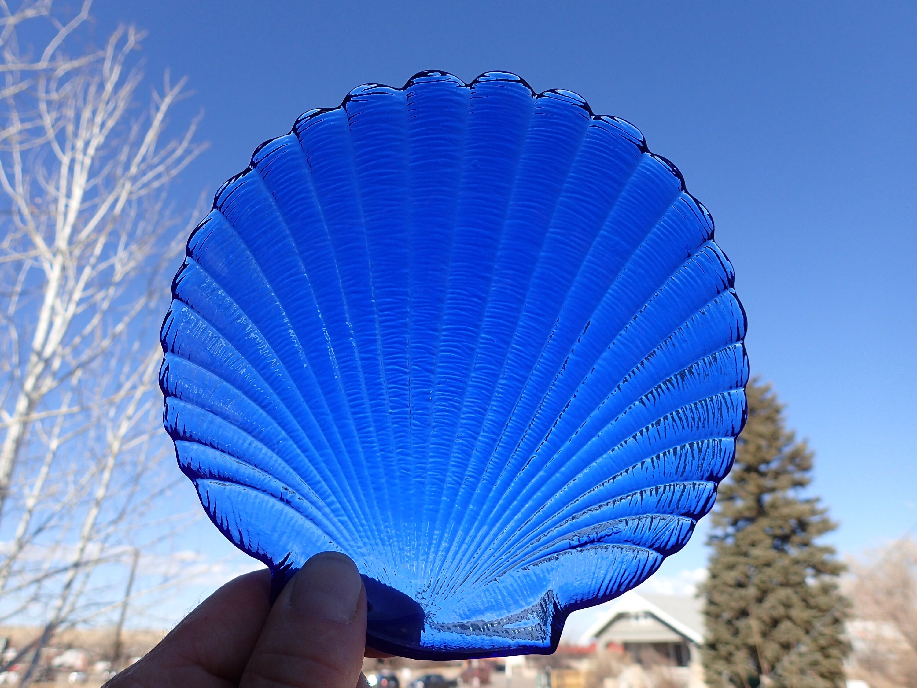 Vintage Scallop Shell/sea Shell Cobalt Blue Plates 5.5" in Diameter ...