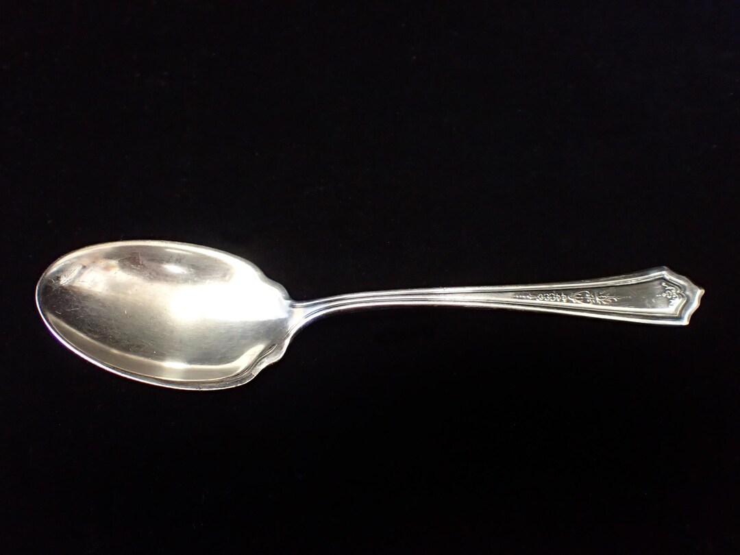 Vintage R & B Silver Plated Casserole Spoon - Etsy