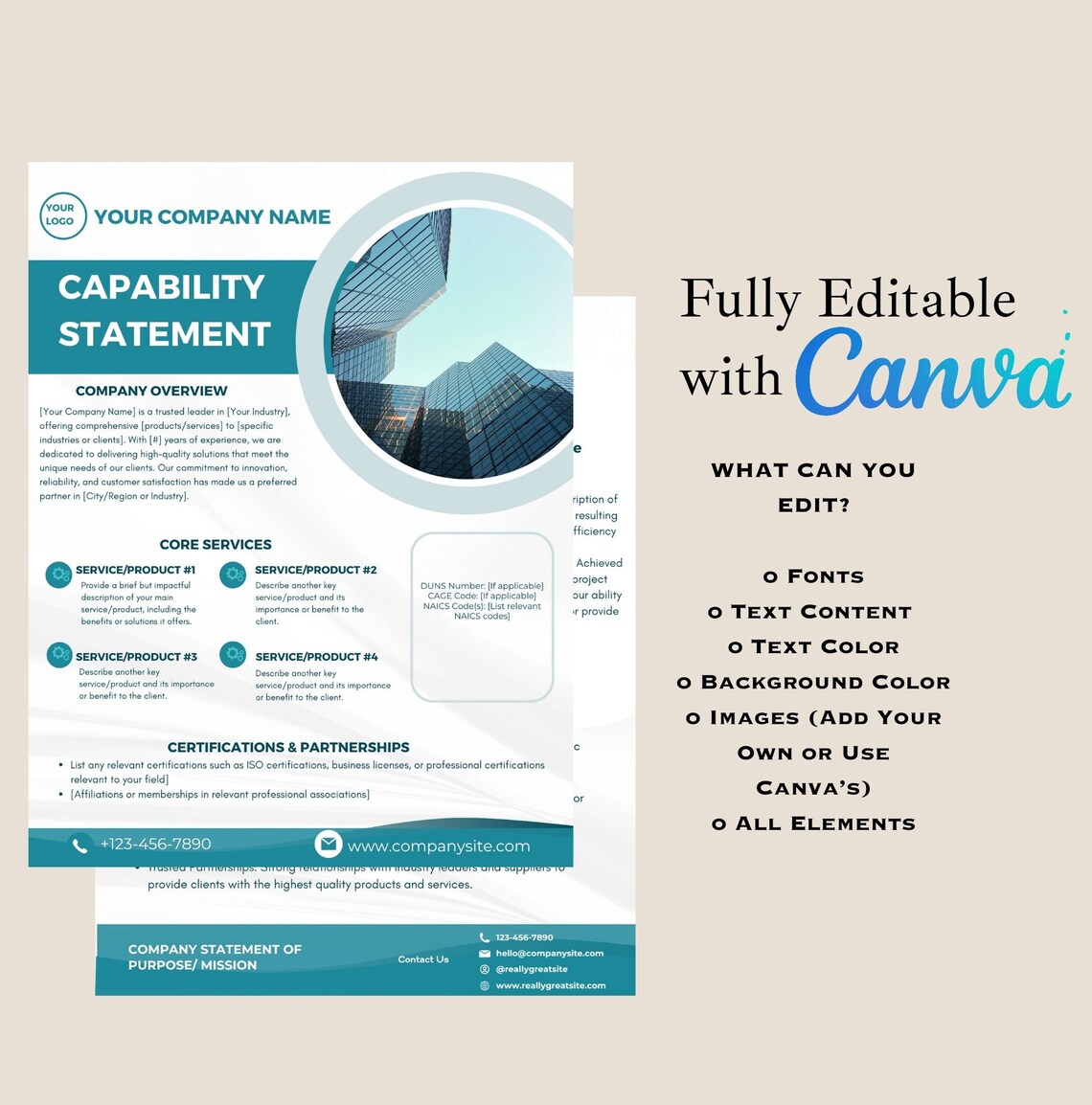 Editable Capability Statement Template: Canva Business Overview ...