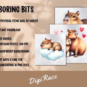 Clip Art Capybara, 300DPI, Free Commercial Use, Png, Cute Clipart ...