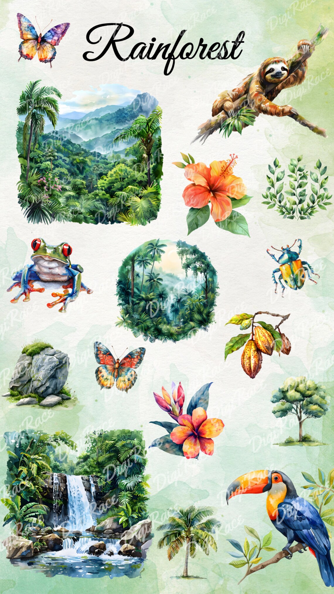Clip Art Rainforest Watercolor, Vintage Nature Graphics, PNG ...