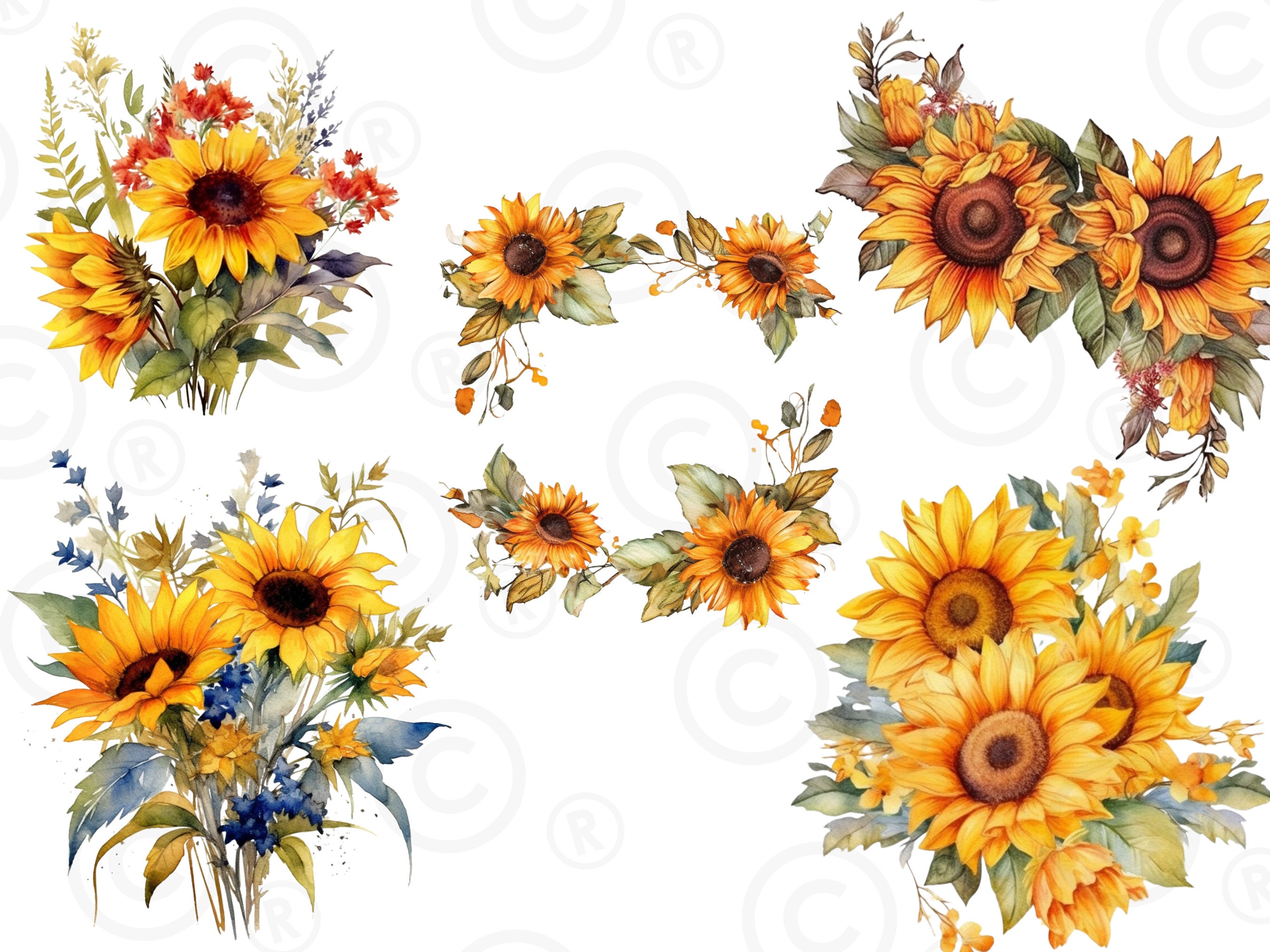 Watercolor Sunflowers Clipart Bundle Free Commercial Use - Etsy