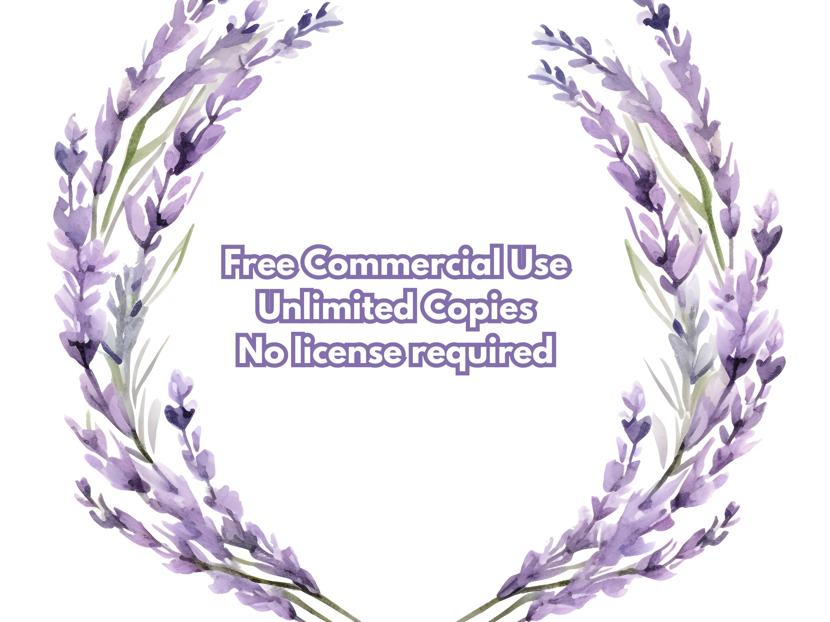 Clip Art Frames Lavender Watercolor Clipart Floral Purple Graphic ...