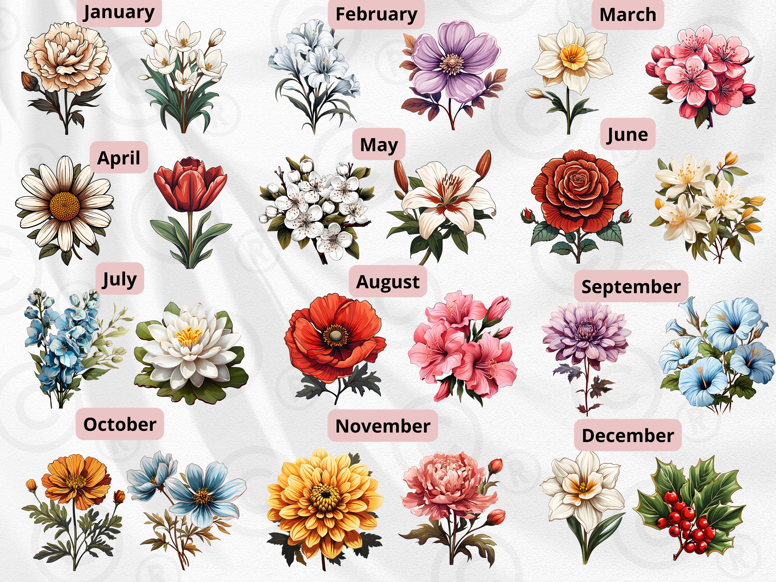 Clip Art, Birth Month Flowers Clipart: Sublimation Pngs, Commercial Use ...