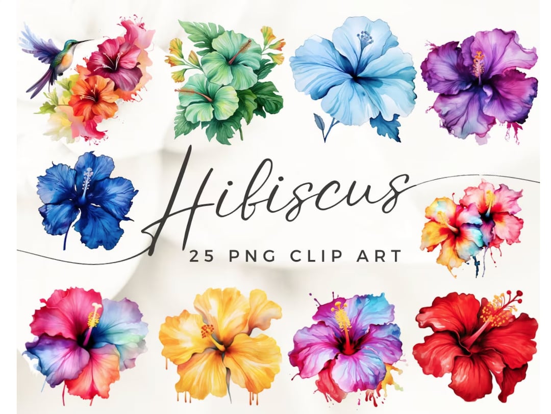 Tropical Hibiscus Clip Art - Bright Floral Graphics for Cards ...