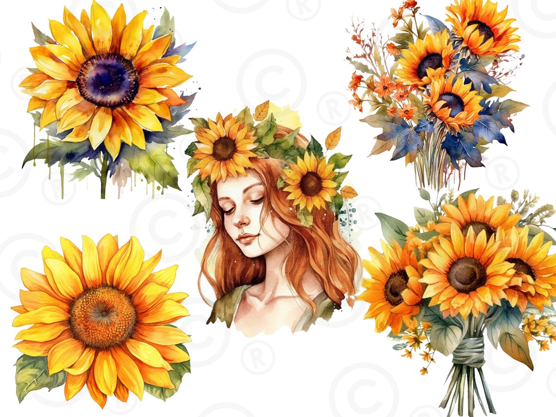 Watercolor Sunflowers Clipart Bundle Free Commercial Use - Etsy