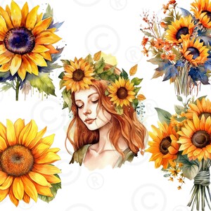 Watercolor Sunflowers Clipart Bundle Flowers Sunflowers Clip Art Yellow ...