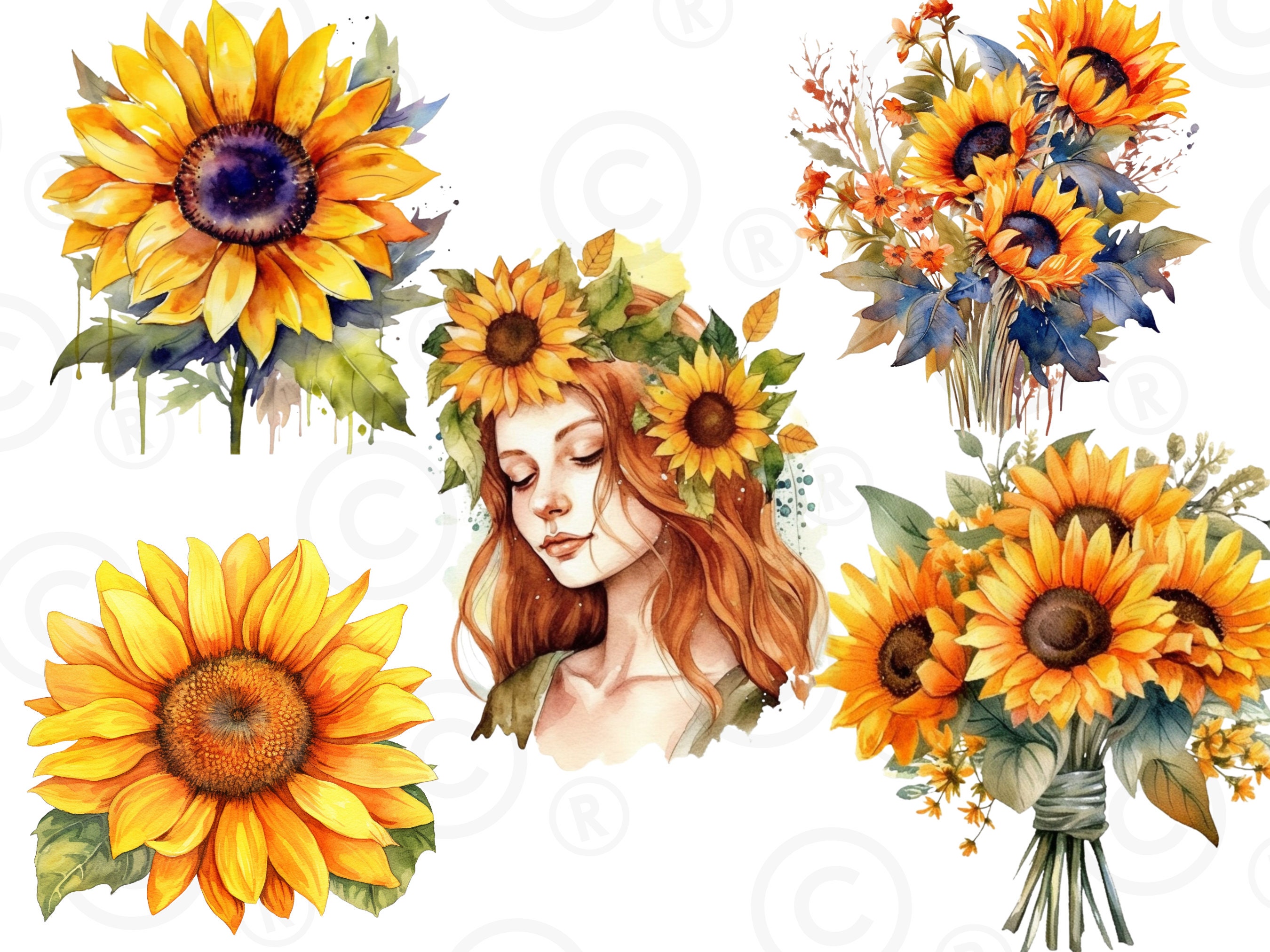 Watercolor Sunflowers Clipart Bundle Free Commercial Use - Etsy