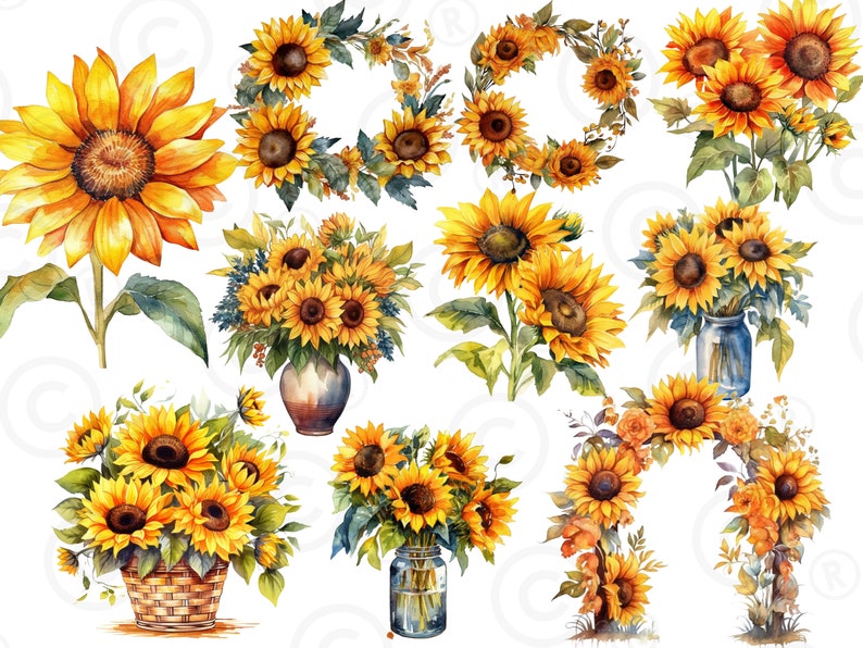 Watercolor Sunflowers Clipart Bundle Free Commercial Use - Etsy