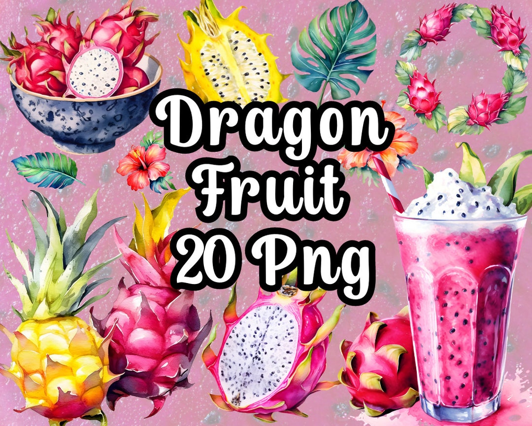 Clip Art Dragon Fruit Watercolor 300DPI Transparent Background Free ...