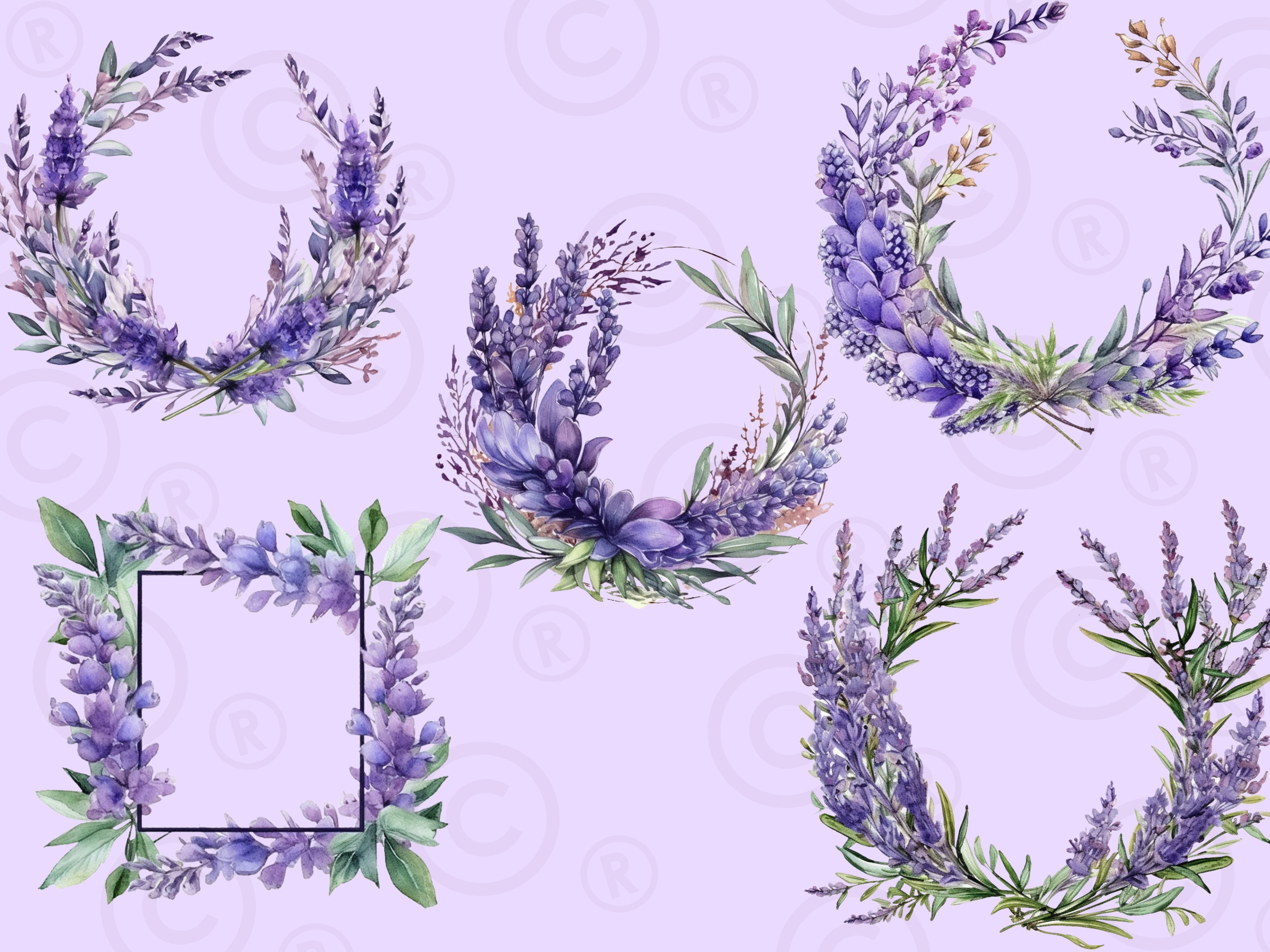 Watercolor Lavender Clip Art Commercial Use PNG Clip Art - Etsy