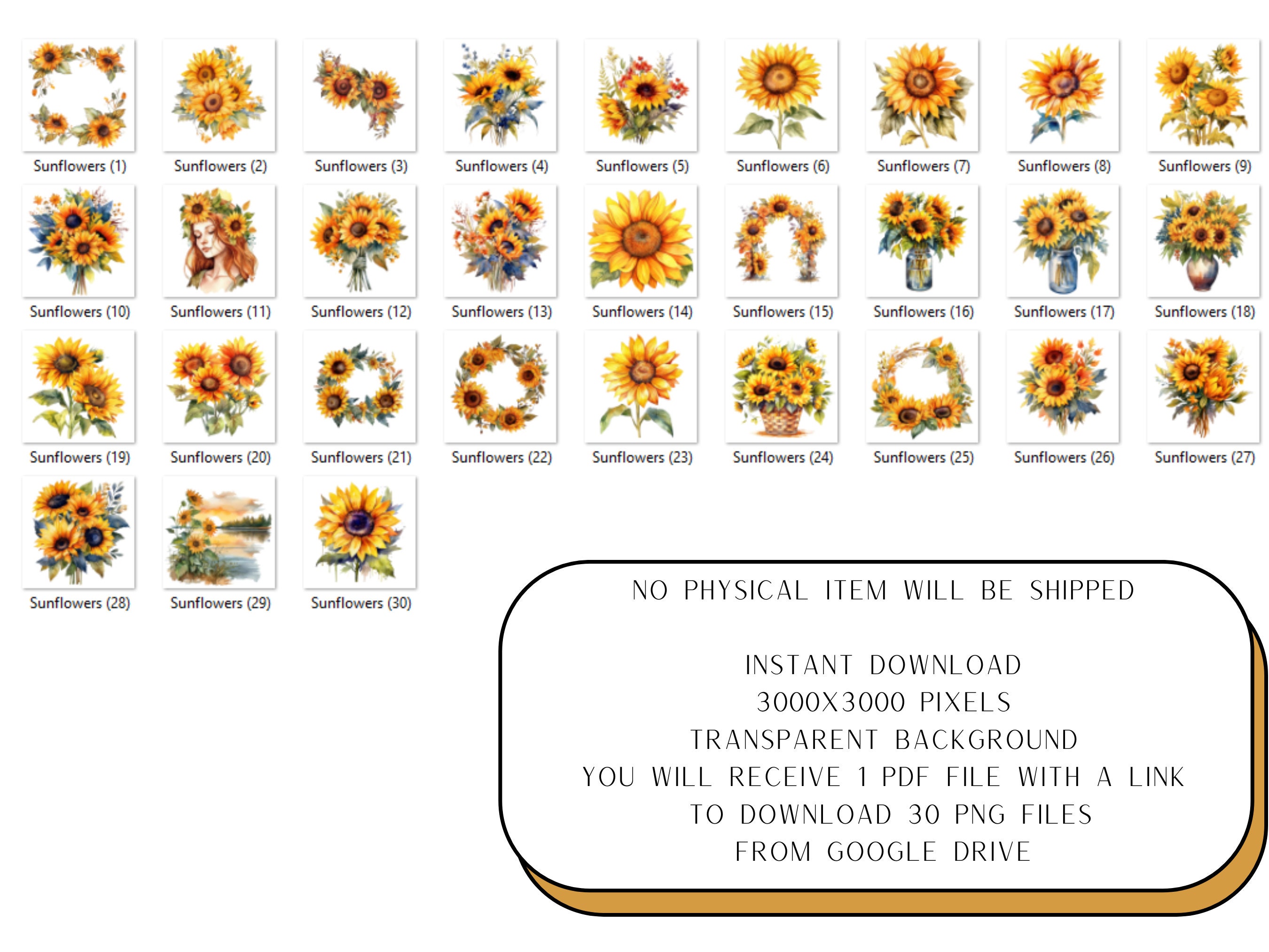 Watercolor Sunflowers Clipart Bundle Free Commercial Use - Etsy