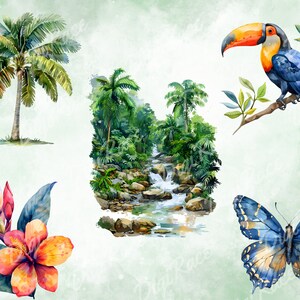 Clip Art Rainforest Watercolor, Vintage Nature Graphics, PNG ...
