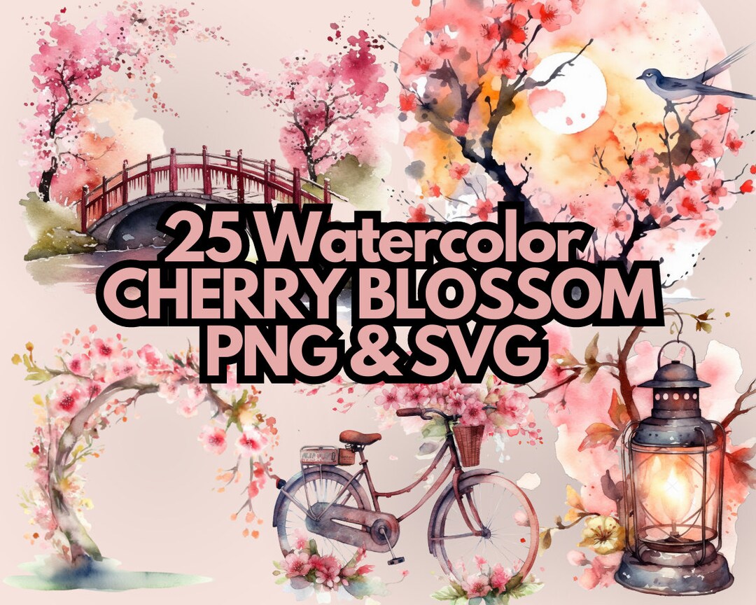 Clip Art Cherry Blossom Watercolor Clip Art Sakura Clipart Transparent ...