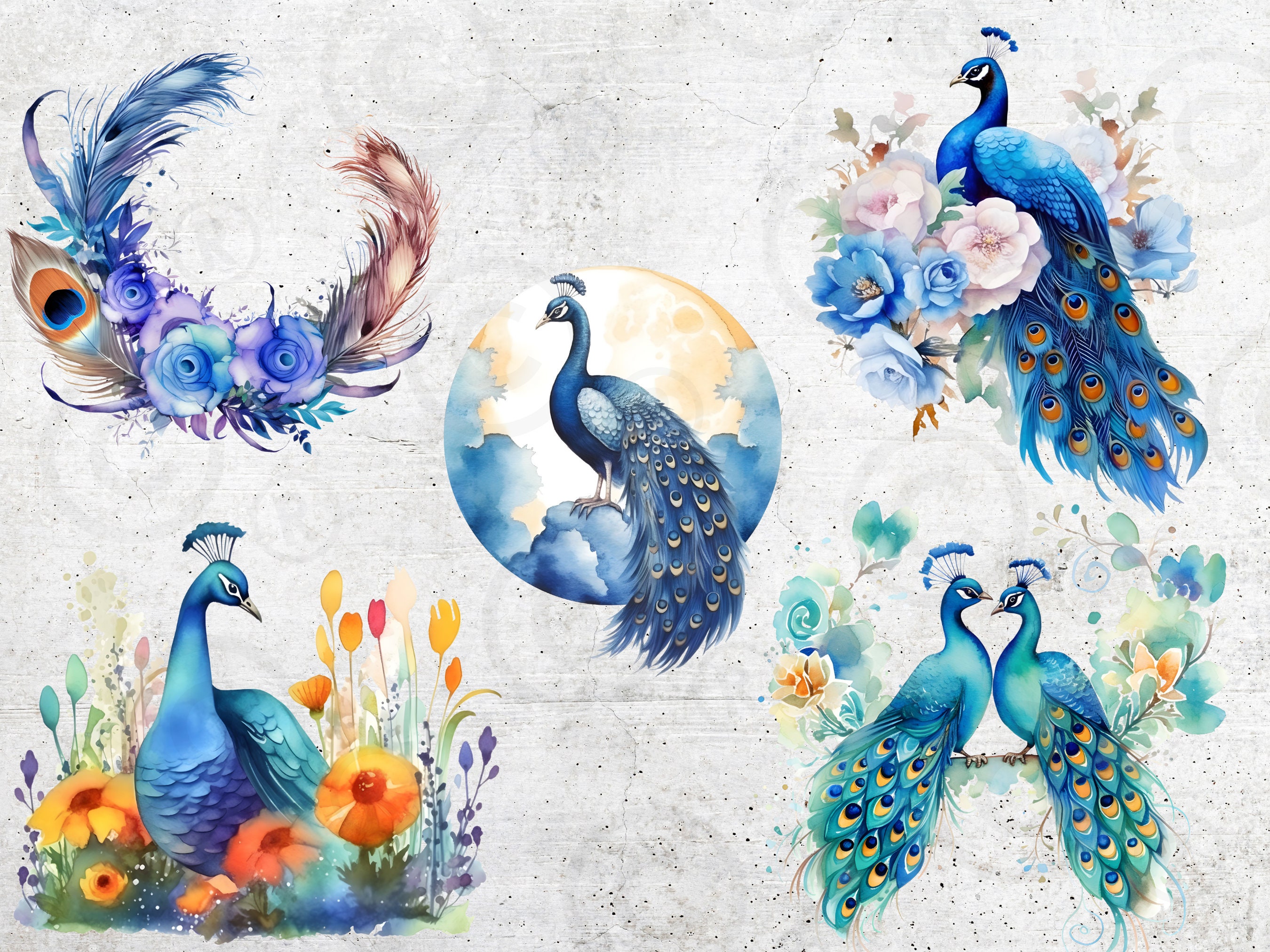 20 Watercolor Clip Art Peacocks, Birds, Fantasy, Peafowl, Peahen ...