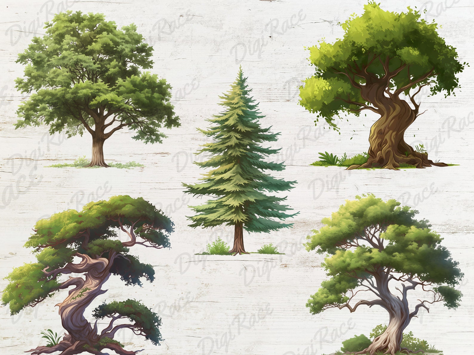 Clip Art Trees Graphics Png Nature Clipart for Cards Invitations Kids ...