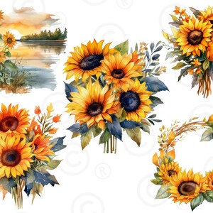Watercolor Sunflowers Clipart Bundle Flowers Sunflowers Clip Art Yellow ...