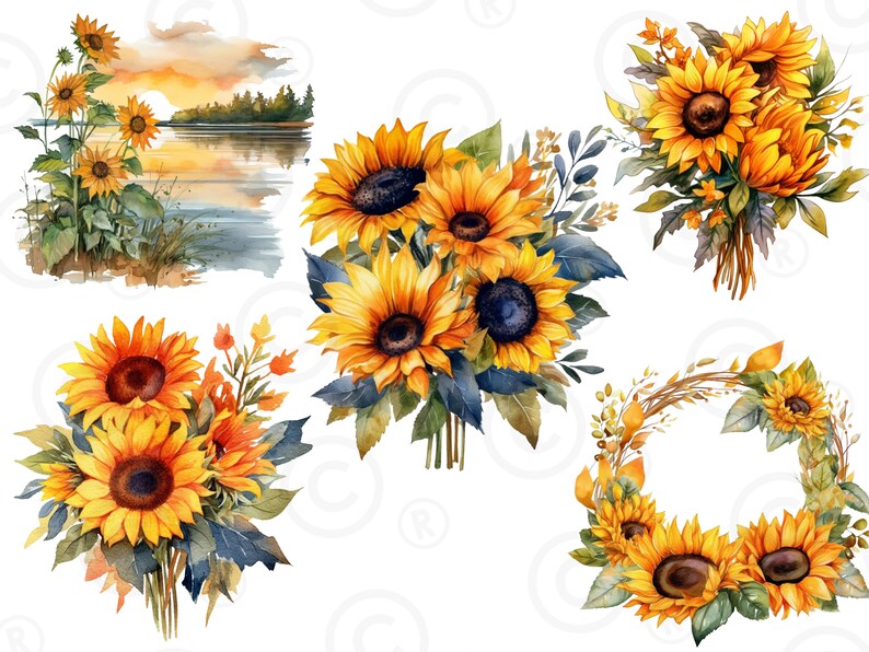 Watercolor Sunflowers Clipart Bundle Free Commercial Use - Etsy