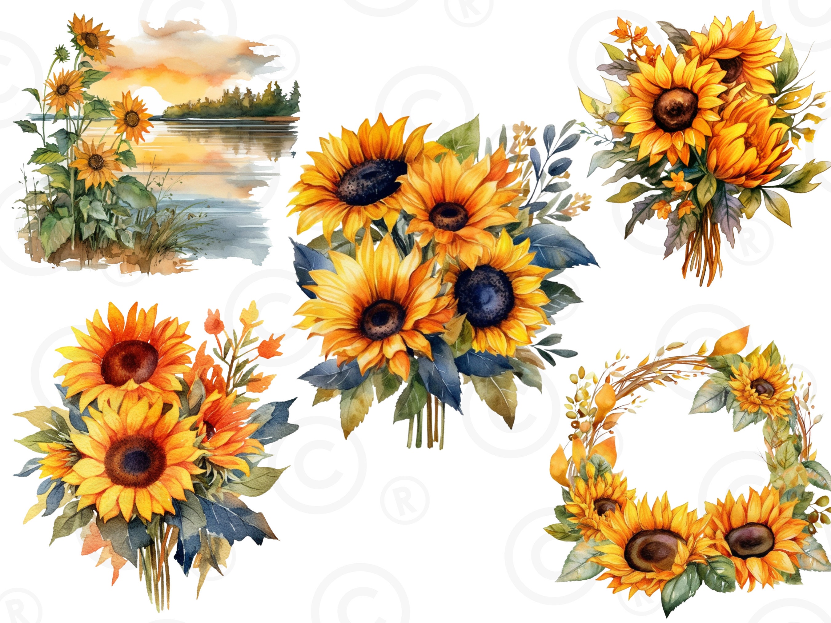 Watercolor Sunflowers Clipart Bundle Free Commercial Use - Etsy