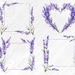 Clip Art Frames Lavender Watercolor Clipart Floral Purple Graphic ...