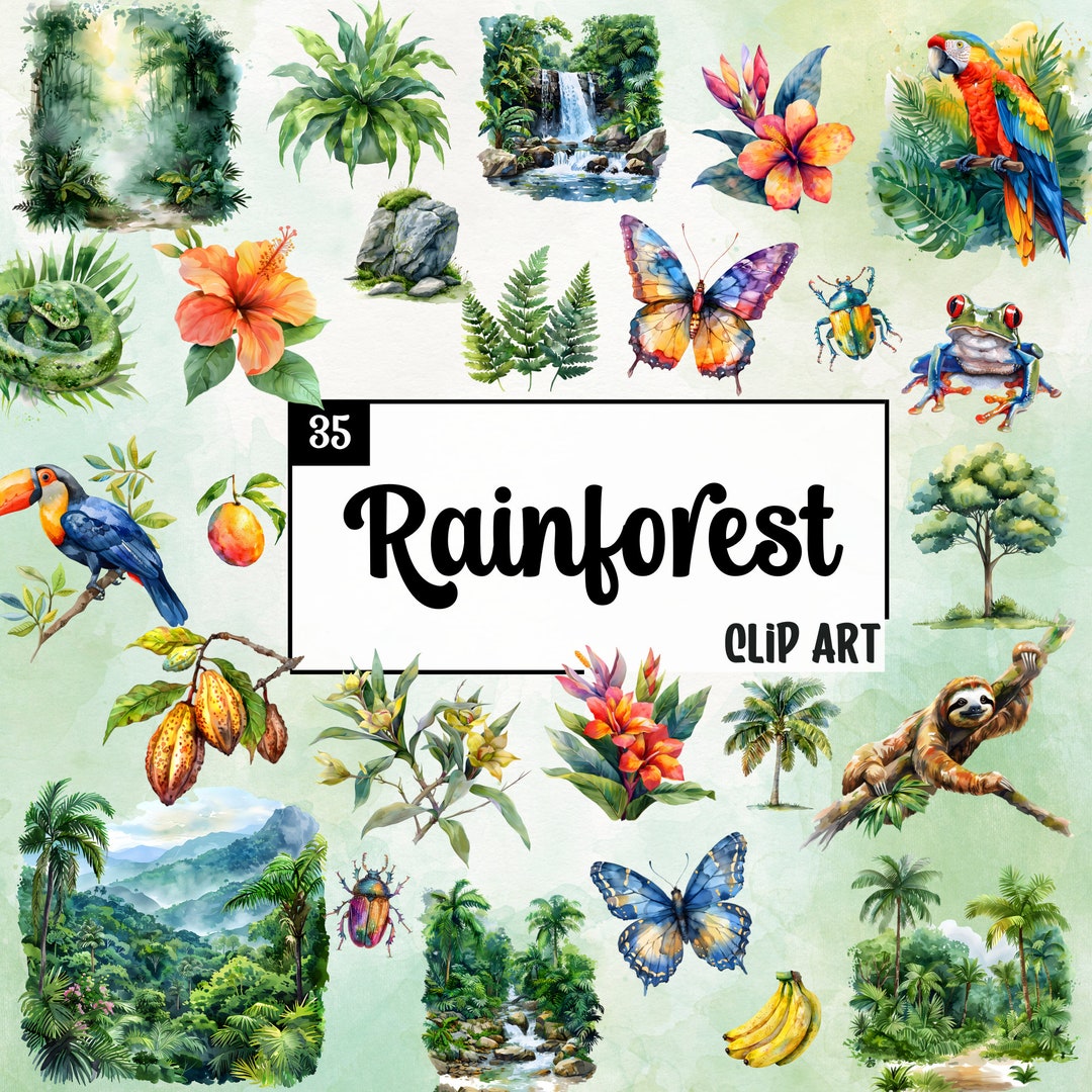 Clip Art Rainforest Watercolor, Vintage Nature Graphics, PNG ...