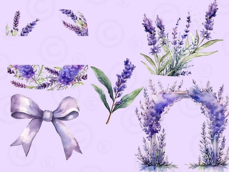 Watercolor Lavender Clip Art Commercial Use PNG Clip Art Floral Frames ...