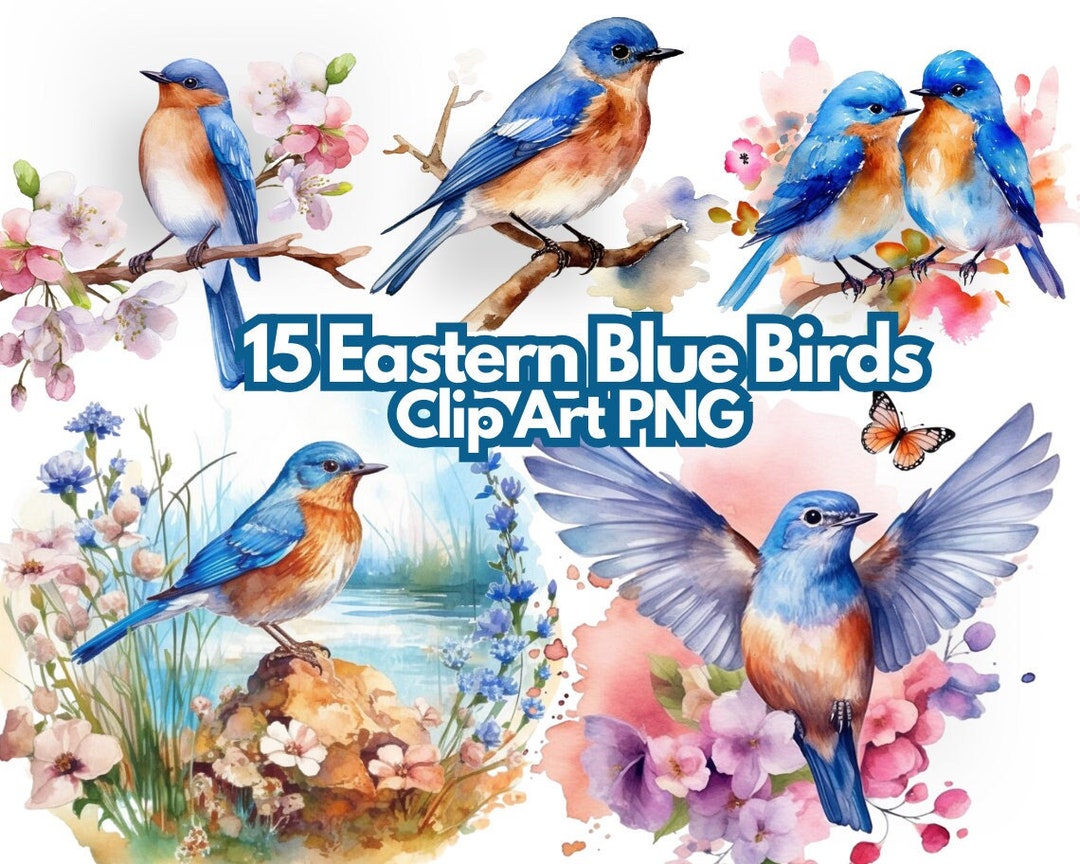 Clip Art Watercolor Eastern Bluebirds Transparent Background Clip Art ...