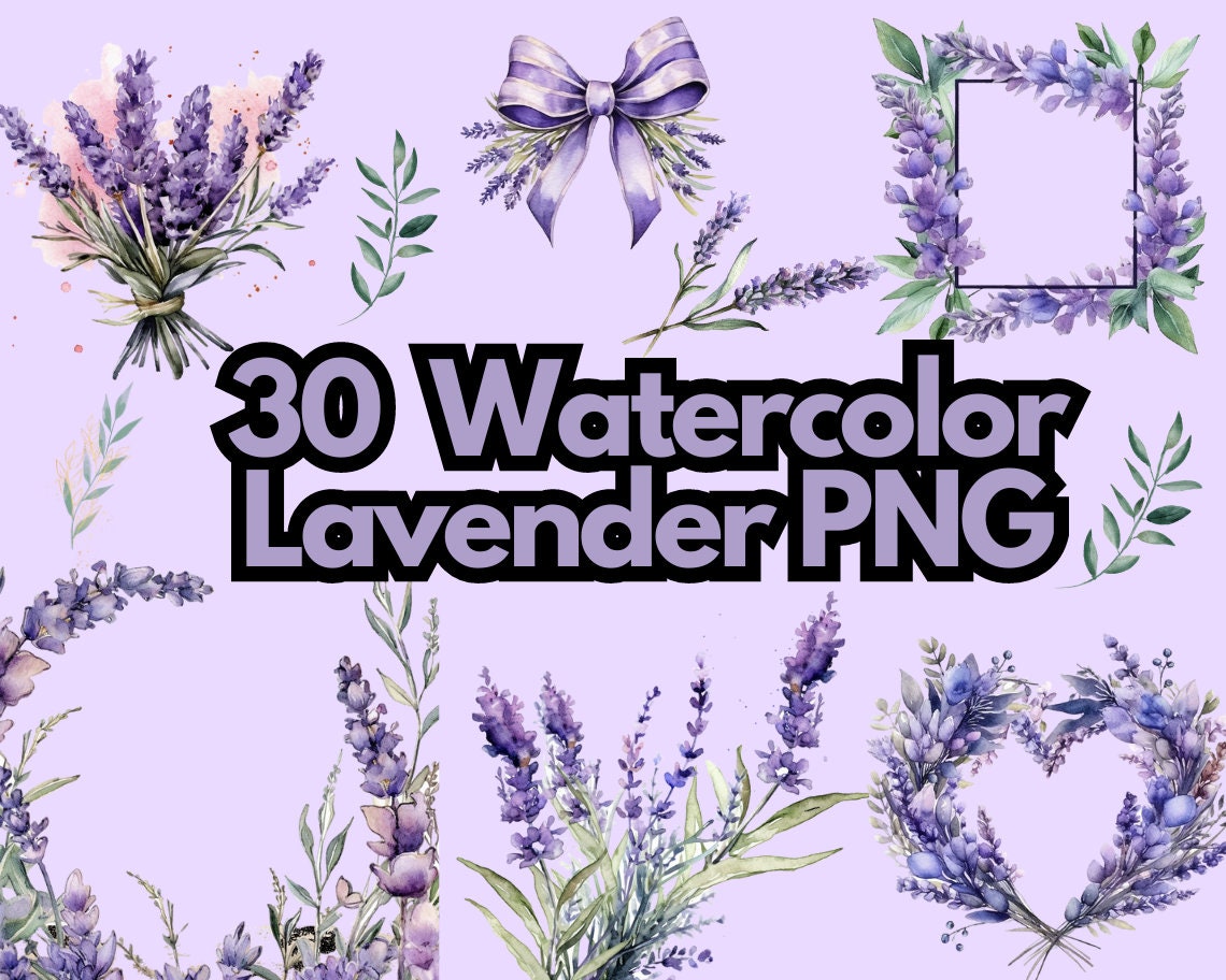 Watercolor Lavender Clip Art Commercial Use PNG Clip Art - Etsy