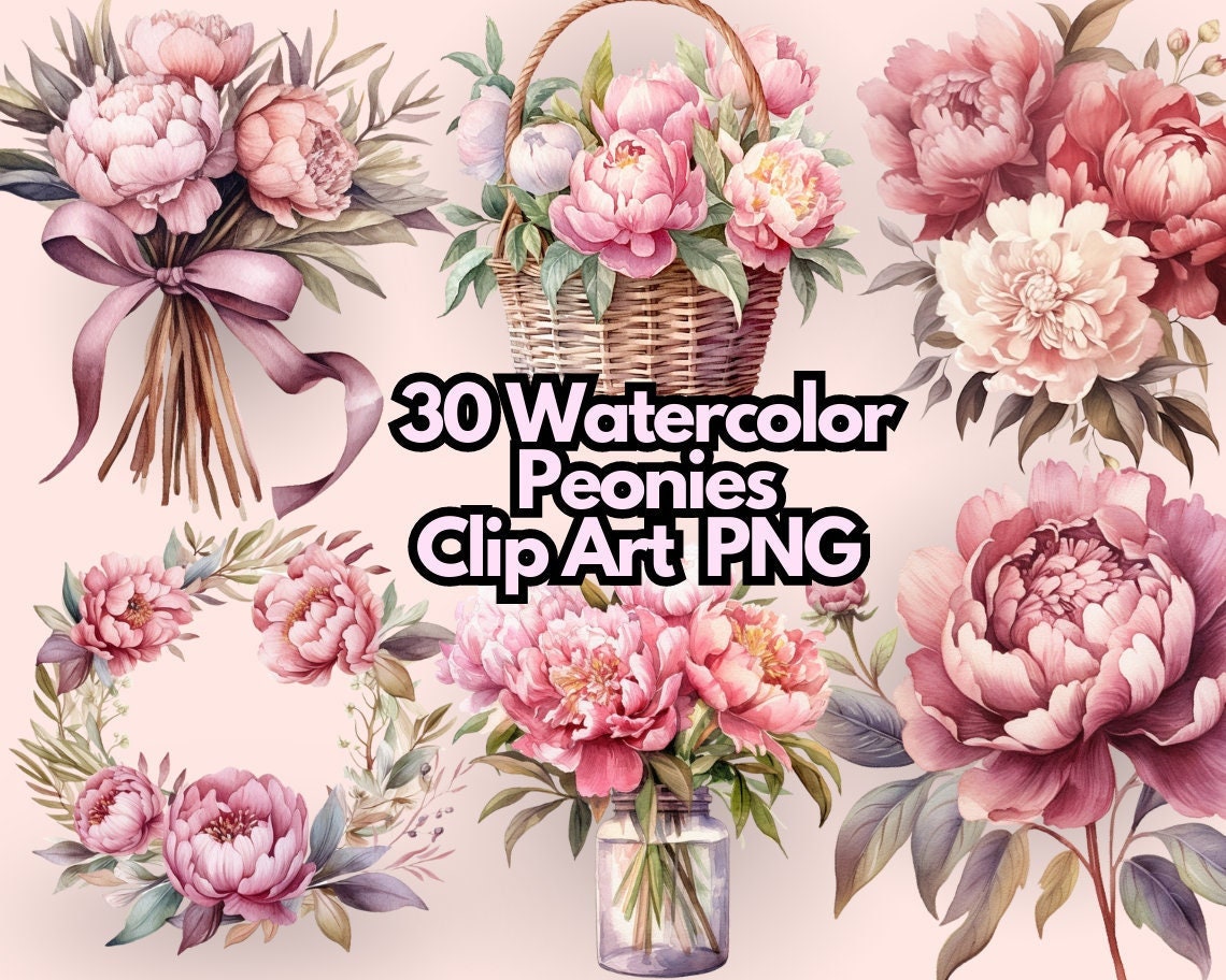 Clip Art Watercolor Peonies Clipart Pink Transparent - Etsy
