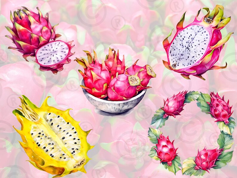 Clip Art Dragon Fruit Watercolor 300DPI Transparent Background - Etsy