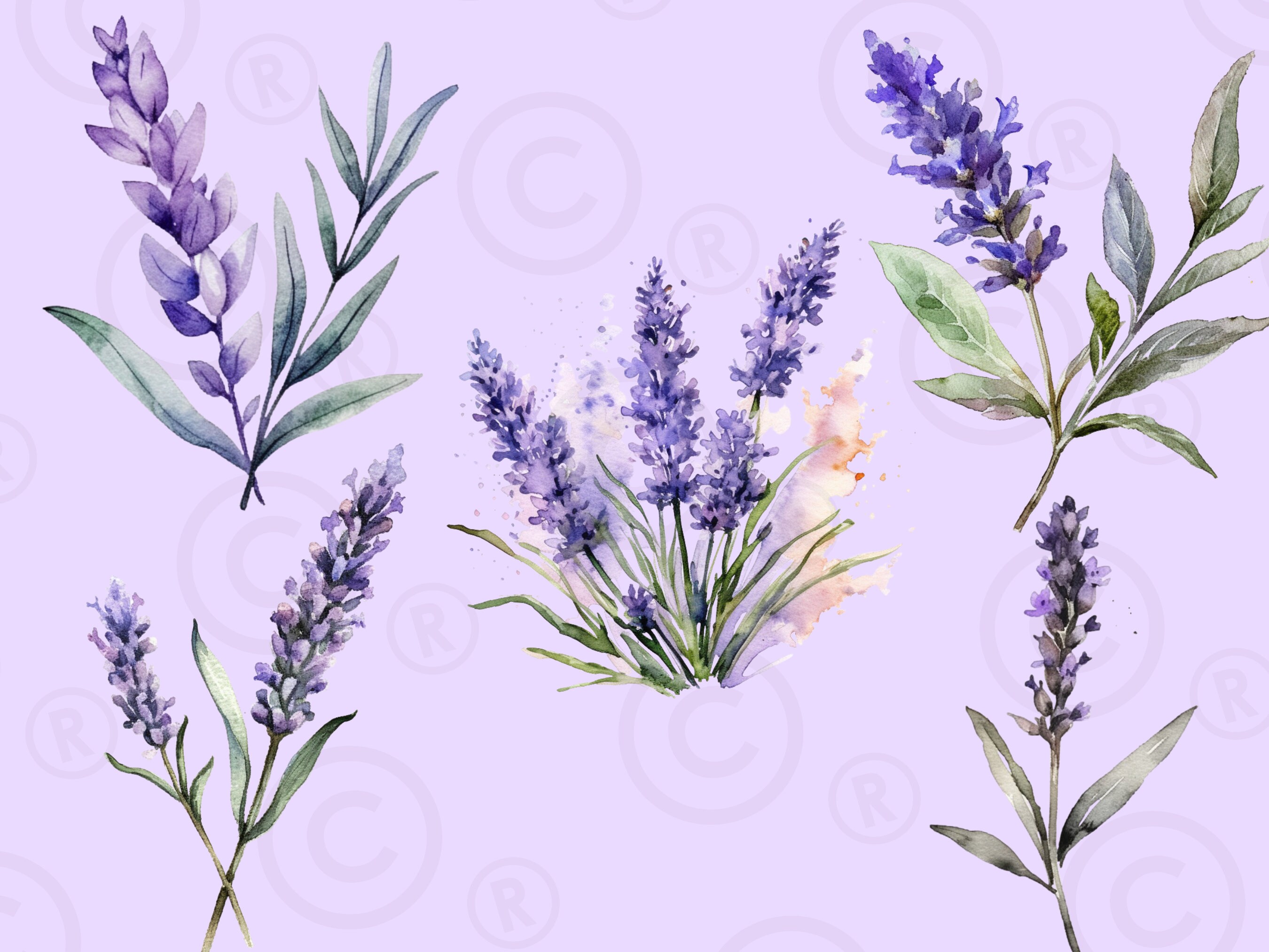 Watercolor Lavender Clip Art Commercial Use PNG Clip Art Floral Frames ...