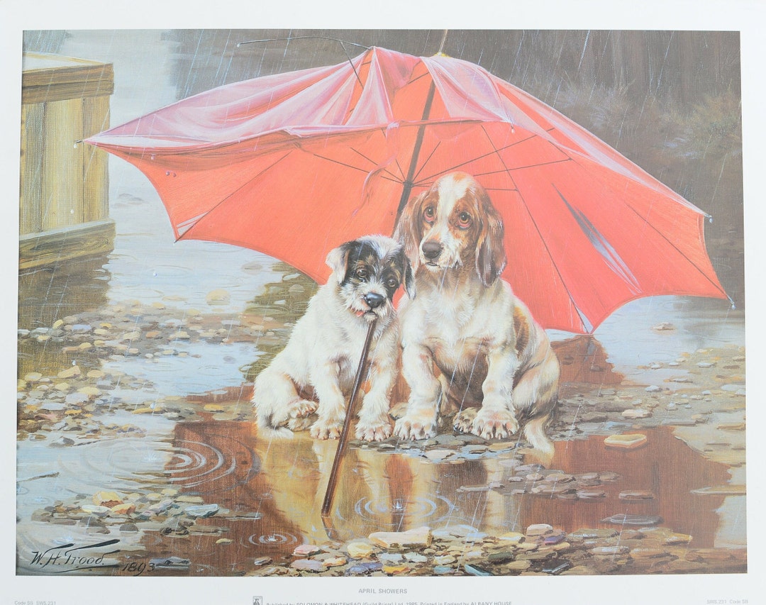 Vintage Print Poster 1985 April Showers Puppies Umbrella - Etsy