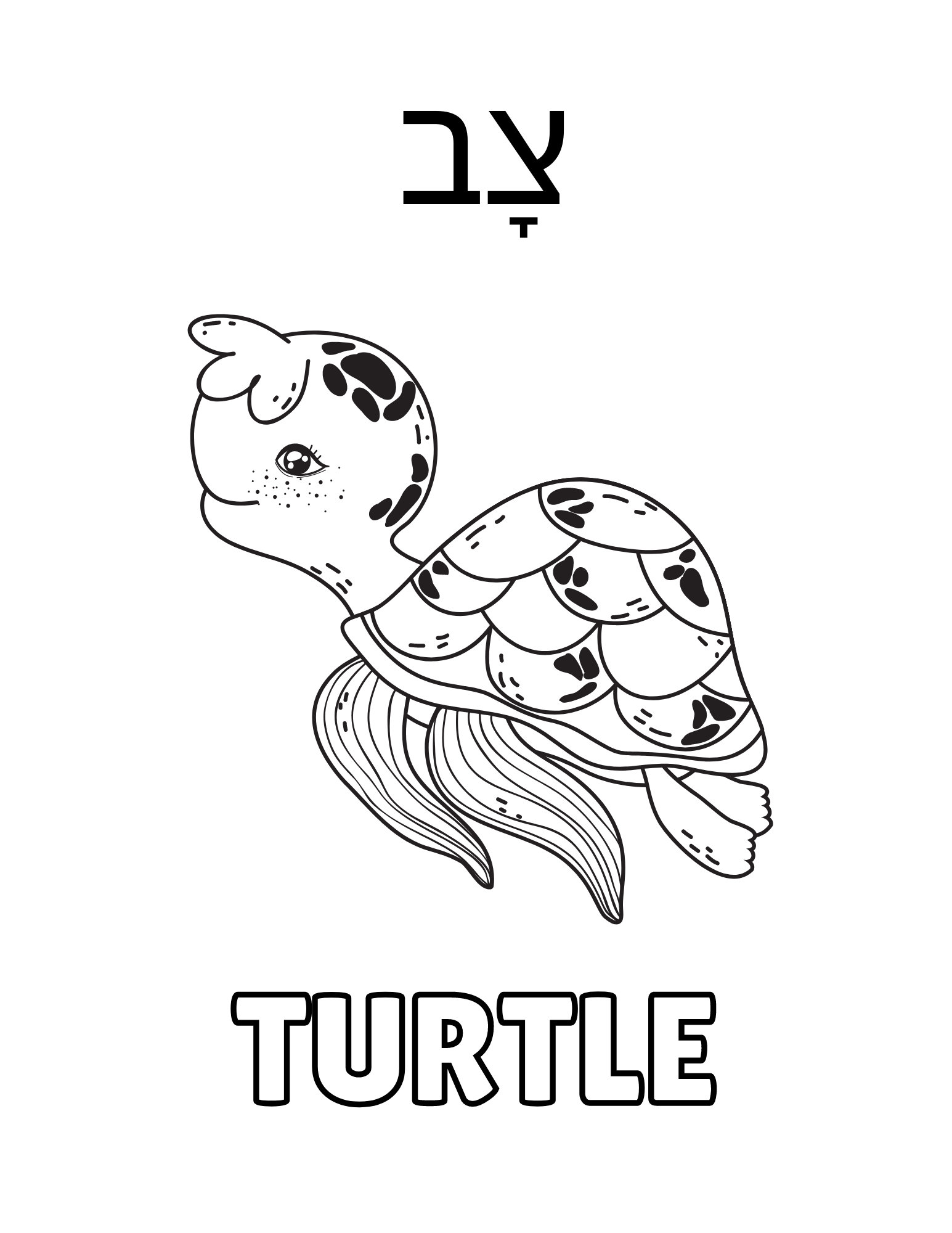 Learn Hebrew Animal Printable Coloring Pages 15 Pages of Animal ...