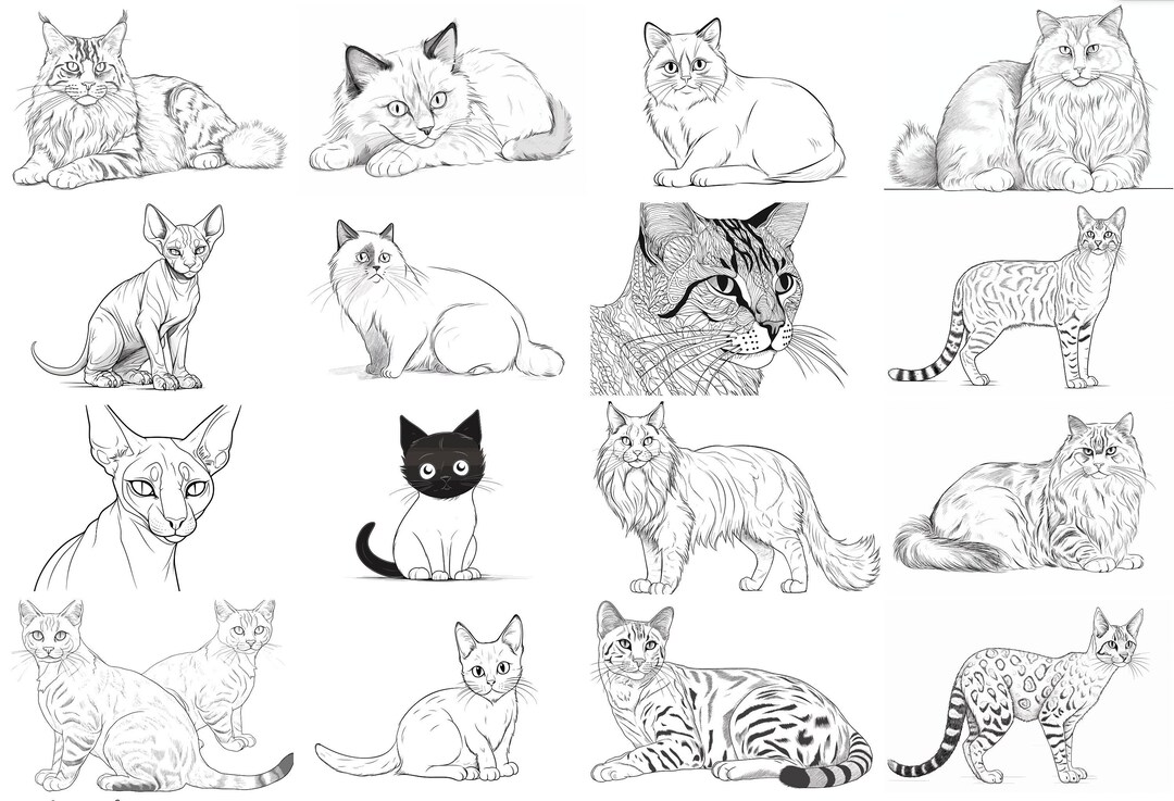 Cute Cats for Coloring Beautiful Cat Coloring Pages for Kids or Adults ...