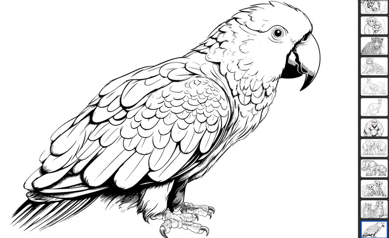 Wild Cute Animals Grayscale Coloring Pages | Printable Adult Coloring ...