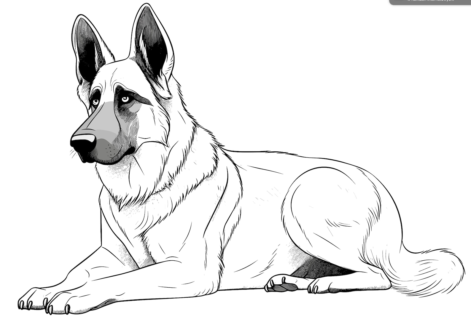 Cute Dogs for Coloring! Dogs Coloring Pages for Kids Adults Coloring ...