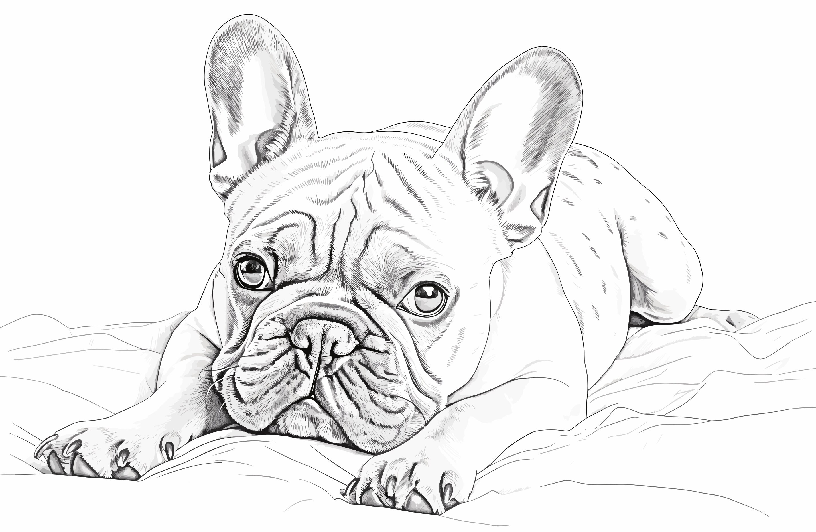 Cute Dogs for Coloring Dogs Coloring Pages for Kids Adults Coloring Dog ...
