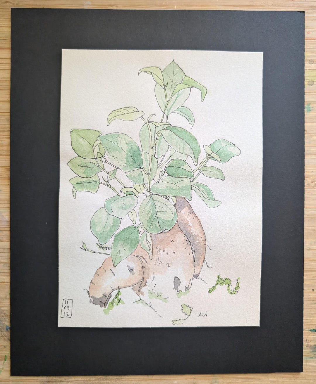 Bonsai Ginseng Watercolor Painting - Etsy
