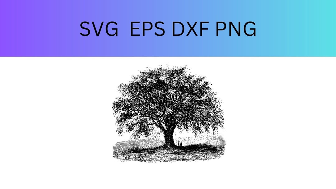 Tree Svg. Vector Cut File for Cricut Silhouette Png Eps Dxf - Etsy