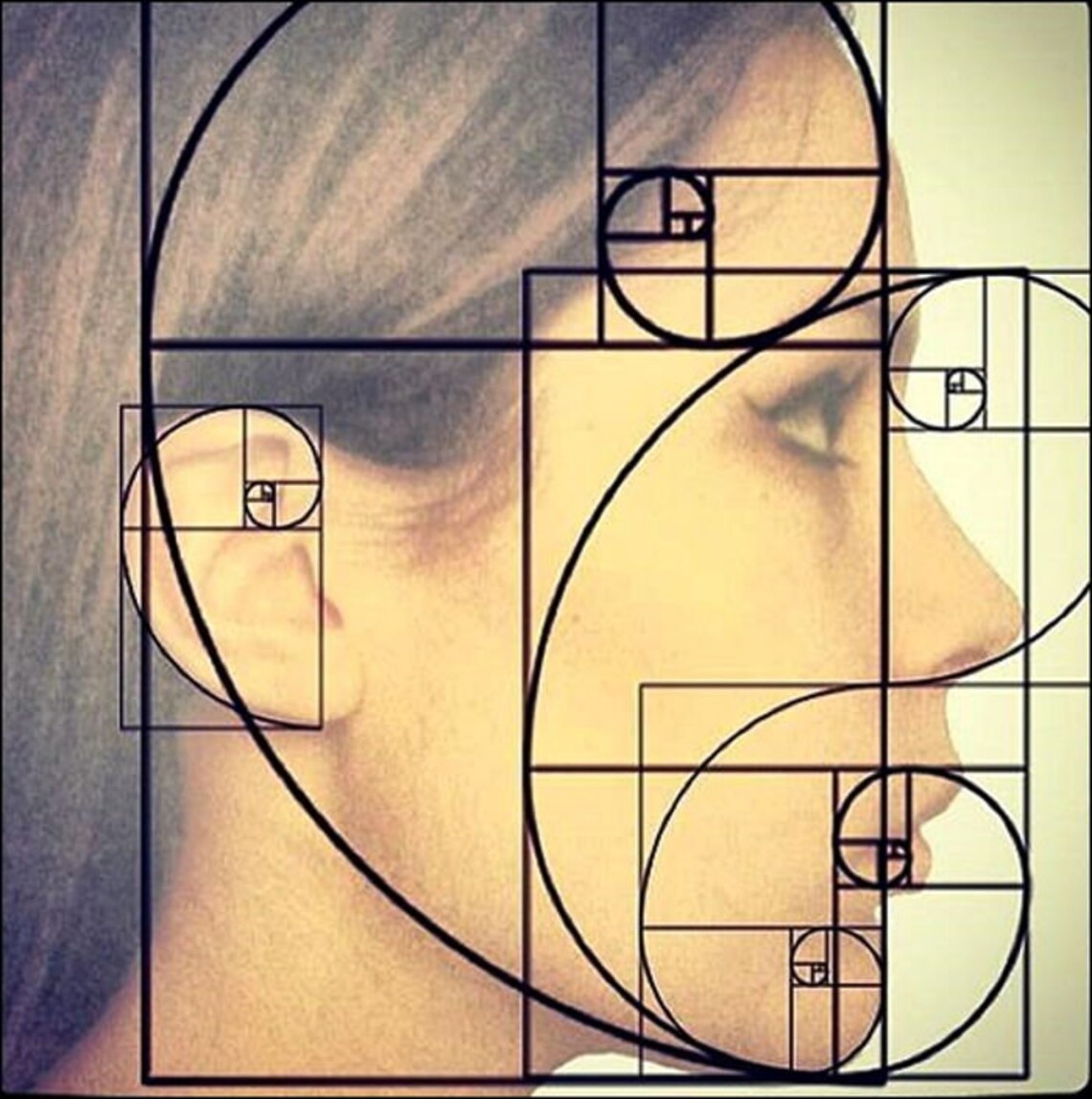 Wooden Golden Ratio Ruler DXF Plan / Compasses - Fibonacci Gauge ...