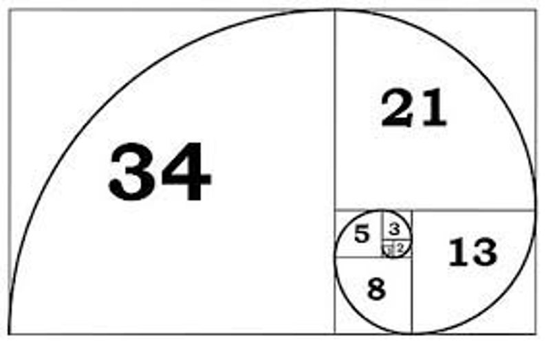 Wooden Golden Ratio Ruler DXF Plan / Compasses Fibonacci Gauge Golden ...