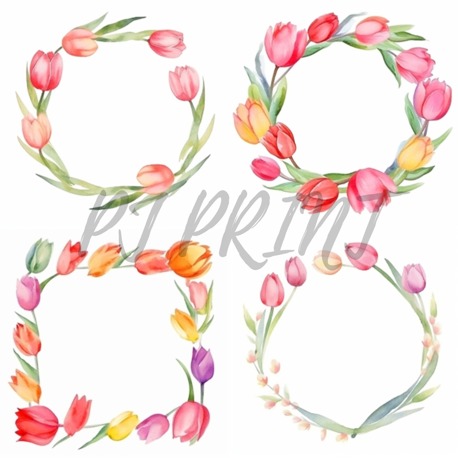 16 Watercolor Spring Tulip Frames Borders PNG Clipart, Tulip Clipart ...
