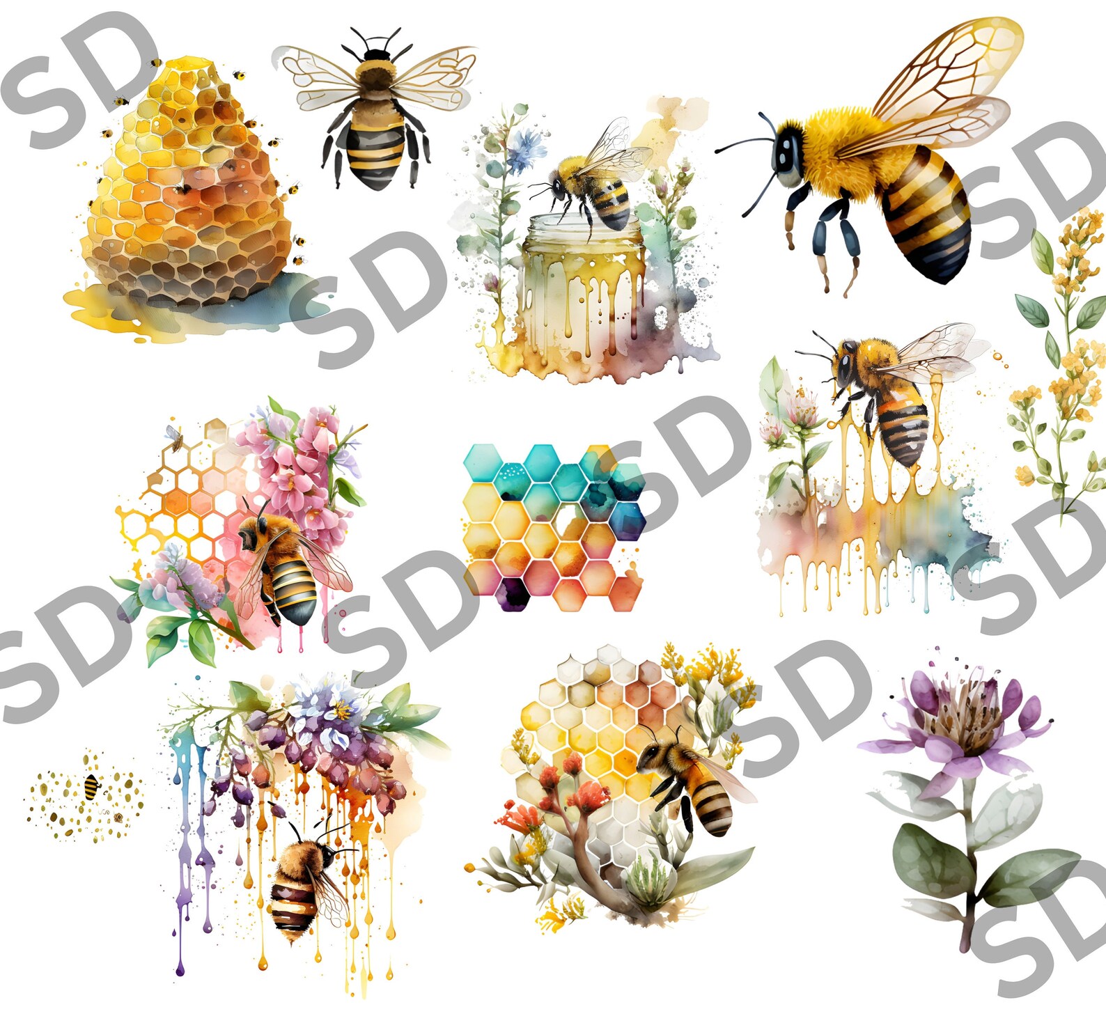 Floral Spring Honey Bee Watercolor Bee PNG Spring Clipart Watercolor ...
