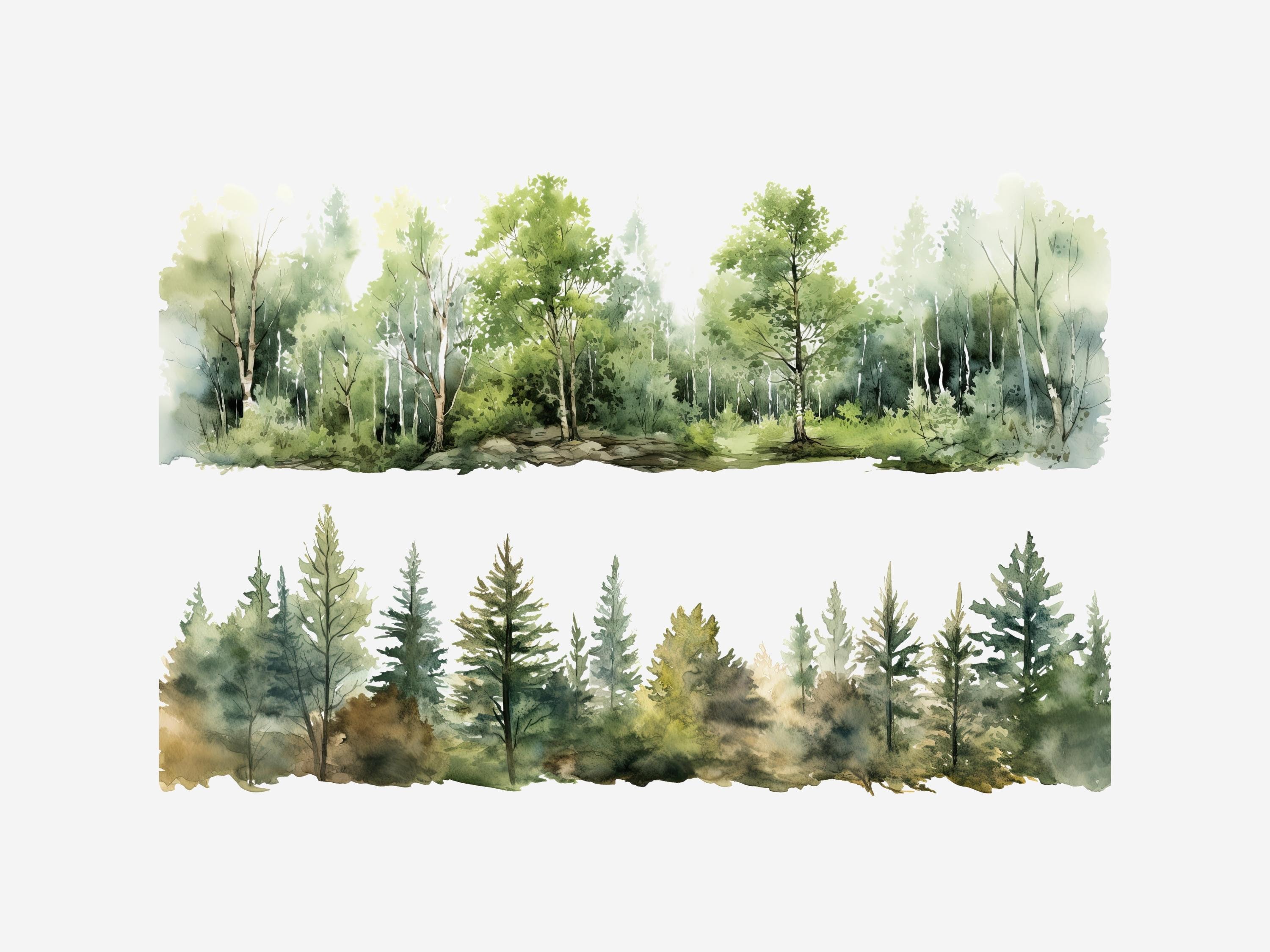 Watercolor Forest Borders PNG Tree Borders Watercolor Tree Clipart ...